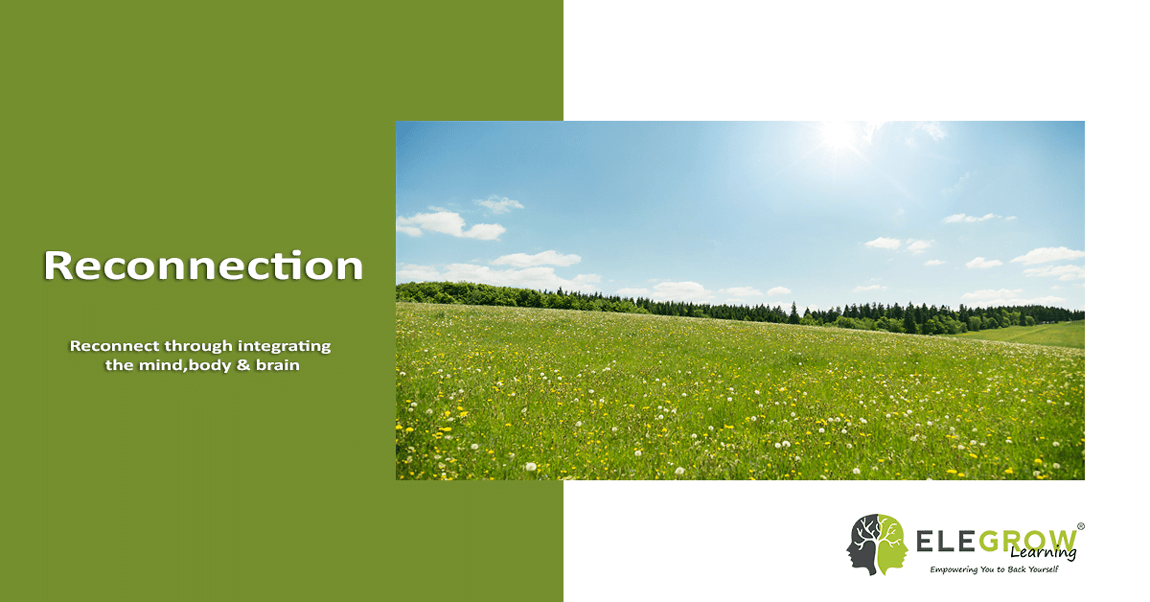 Courses - Elegrow Learning